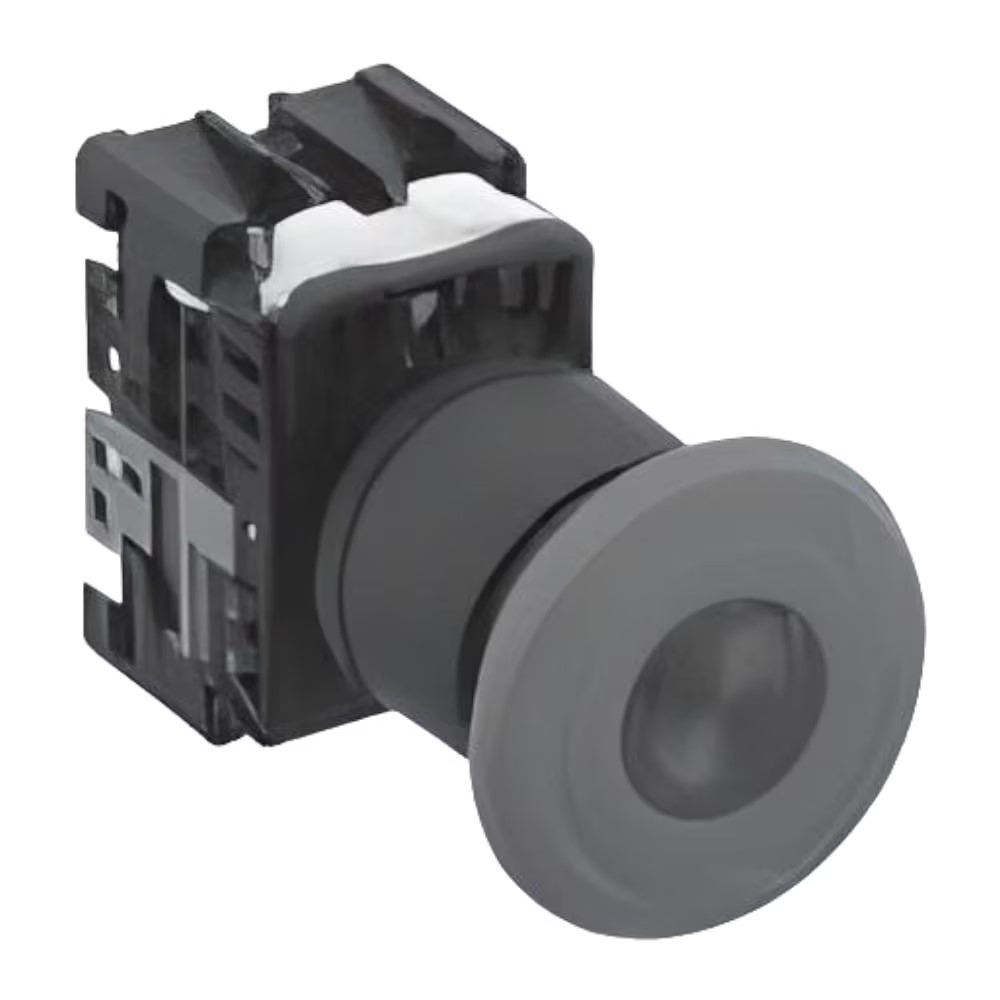 ø22 Series Push Button Switch AY22 Type | FUJI ELECTRIC | MISUMI Thailand